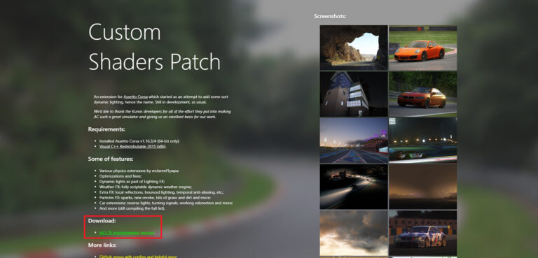 アセットコルサ カスタムシェダーパッチ(CSP)導入手順解説 - とーたまブログ
